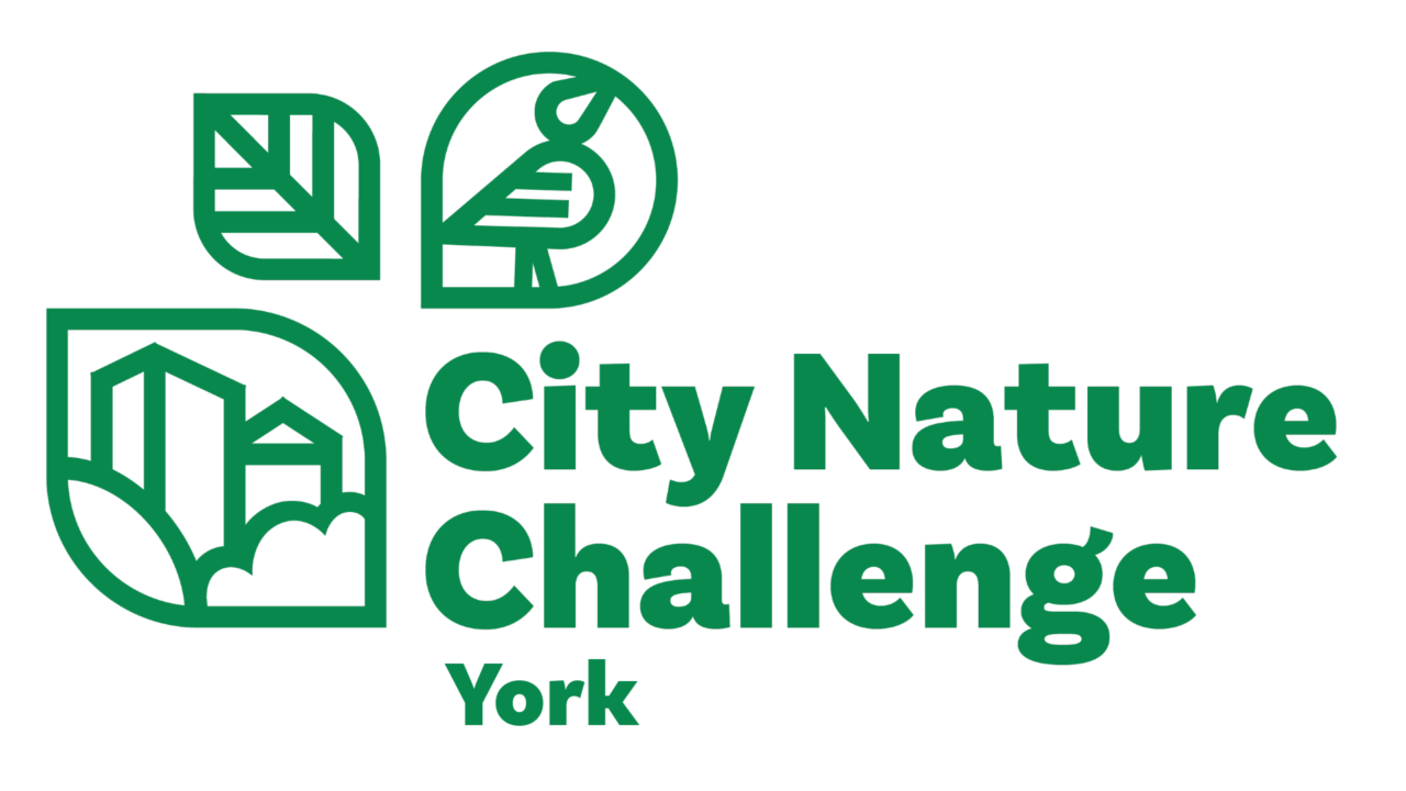 Join the first York City Nature Challenge! - York Climate Connect